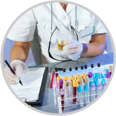 Our Services - Vitalise Wellness - Naturopathy Sydney