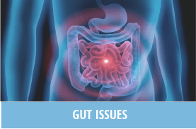 Naturopathy for Gut and Digestive Disorders - Naturopathy Sydney